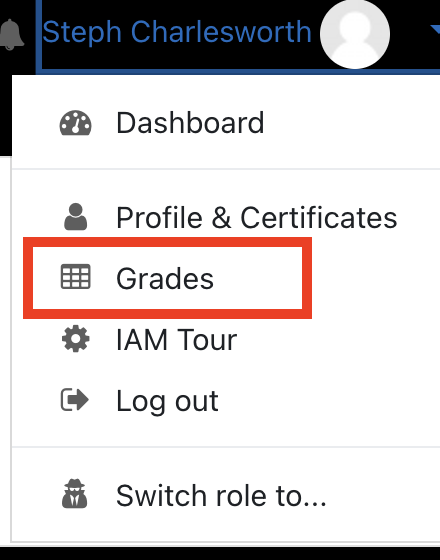 How do I view my grades?